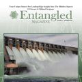 Partner - Basic Content + e-Magazine – Entangled Productions