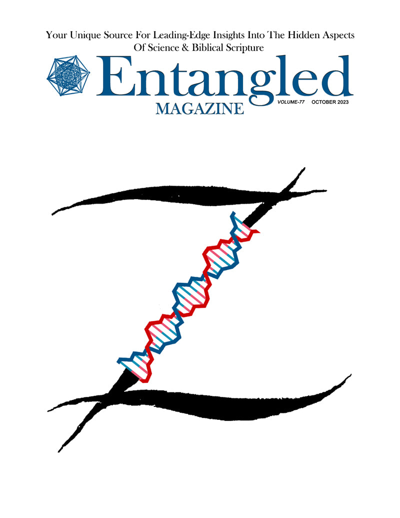 'Entangled' e-Magazine Subscription PDF (Yearly) – Entangled Productions