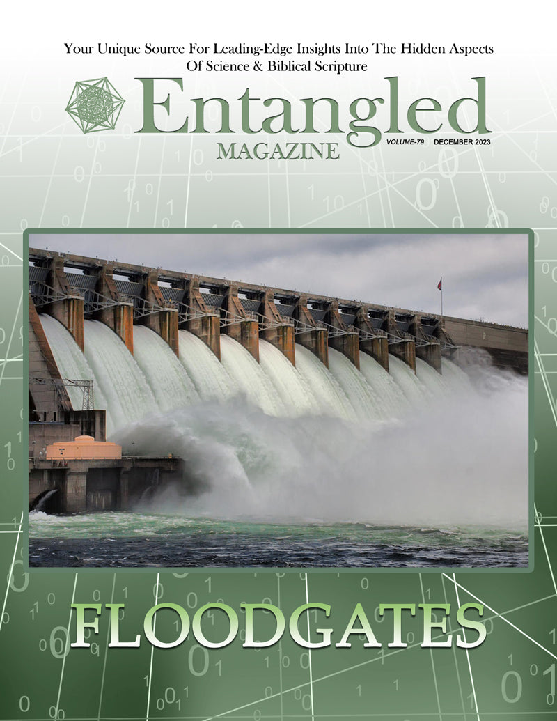 'Entangled' e-Magazine Subscription PDF (Yearly) – Entangled Productions