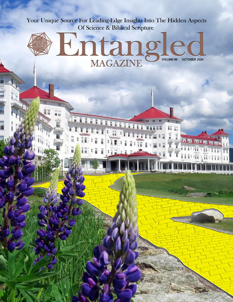 'Entangled' e-Magazine Subscription PDF (Yearly) – Entangled Productions