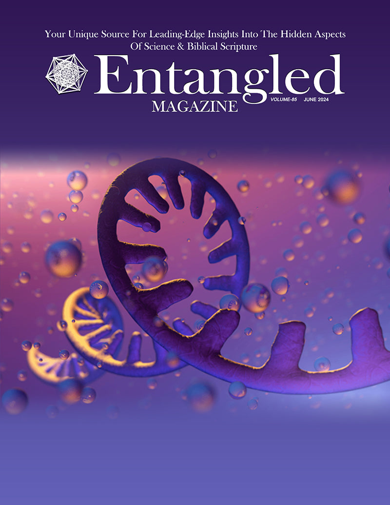 'Entangled' e-Magazine Subscription PDF (Yearly) – Entangled Productions