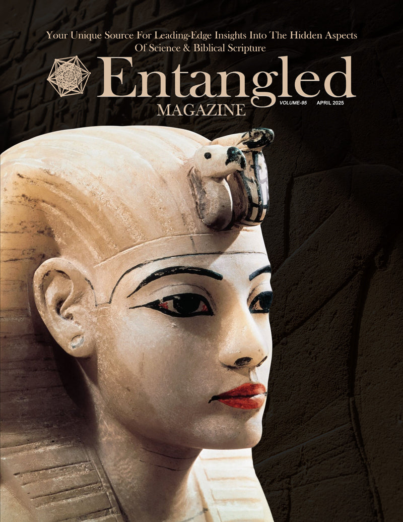 'Entangled' e-Magazine Subscription PDF (Yearly) – Entangled Productions